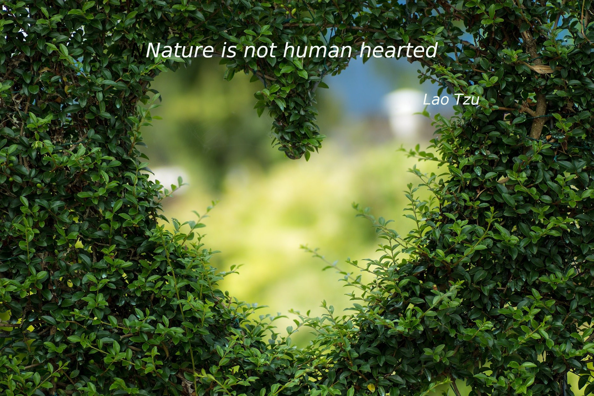 Nature is not human hearted – Sharing Spirit